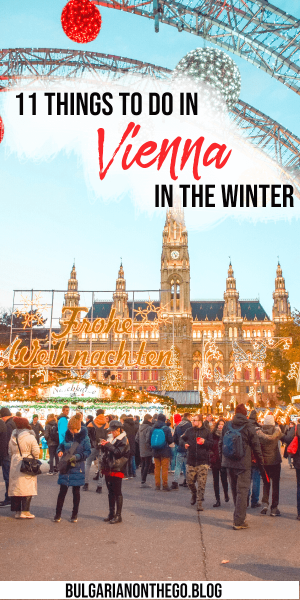 11 Marvelous Things to Do in Vienna in December: Winter in Vienna Guide