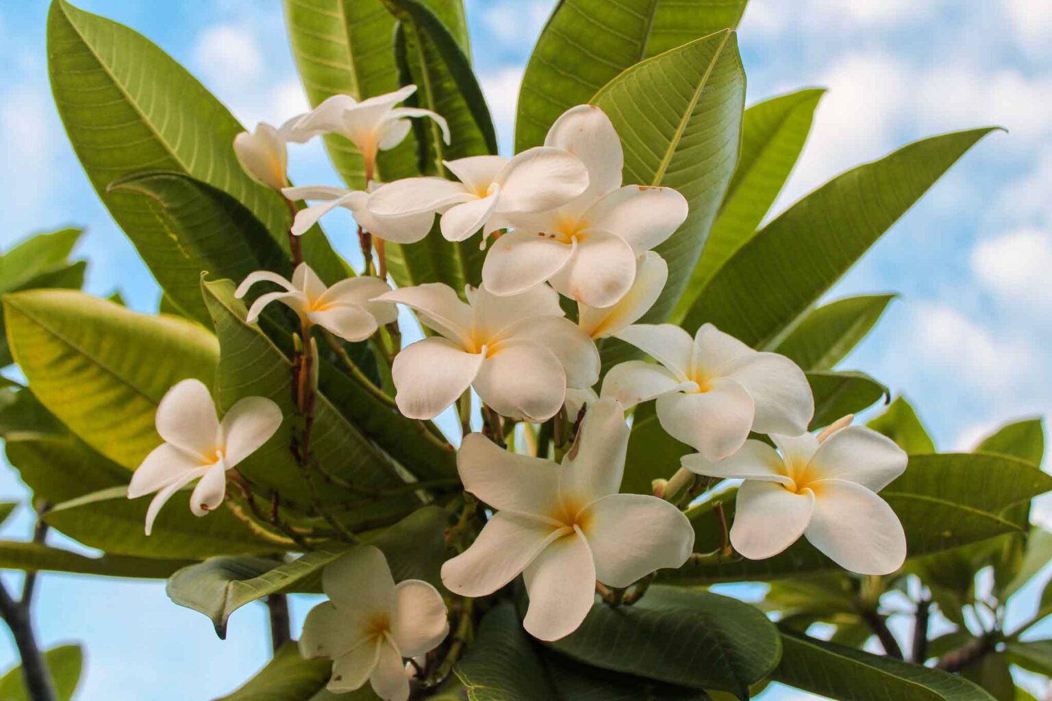 21 Photos of the Seychelles that will make you want to visit!