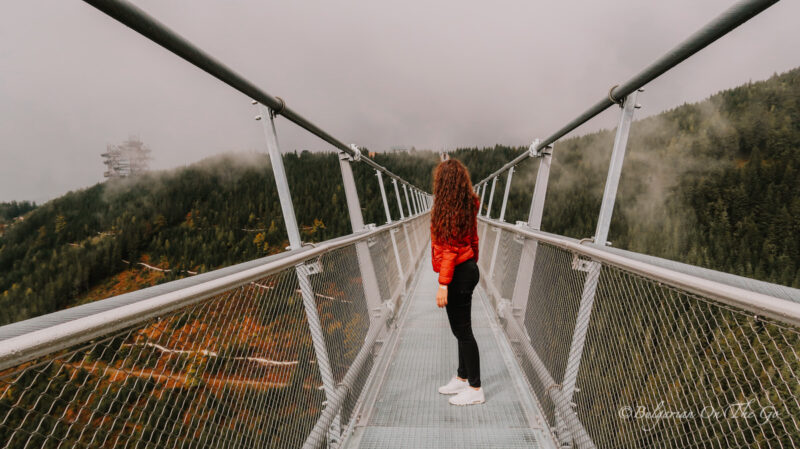 Sky Bridge 721 - Everything You Need to Know Before Visiting